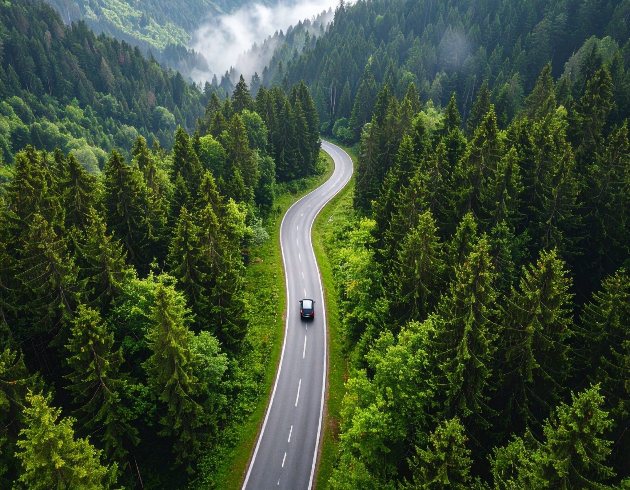 Understanding the “Federal Limits Apply” Illinois Driver’s License for ...